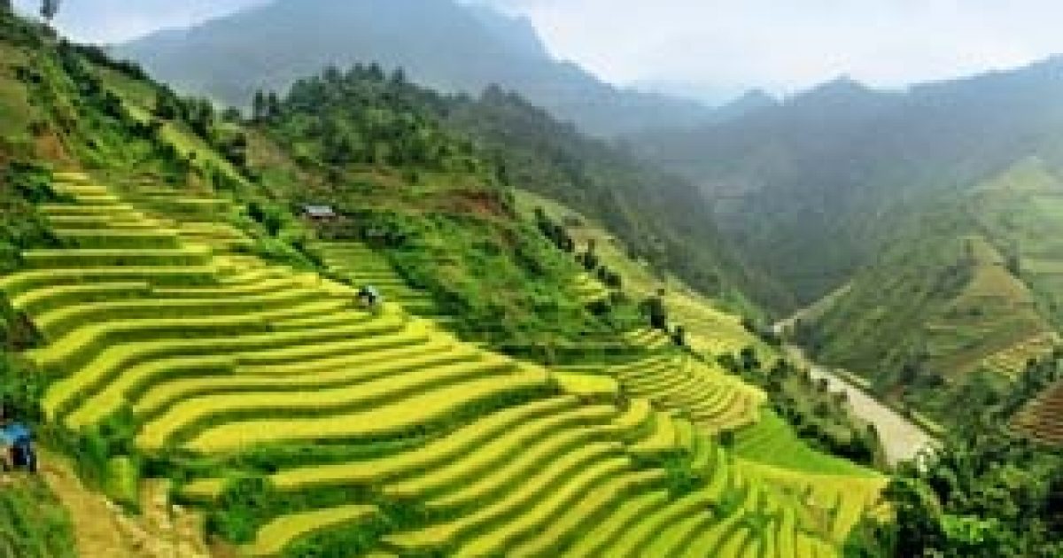 Best time to visit the rice terraces of Sapa and Northern Vietnam ...